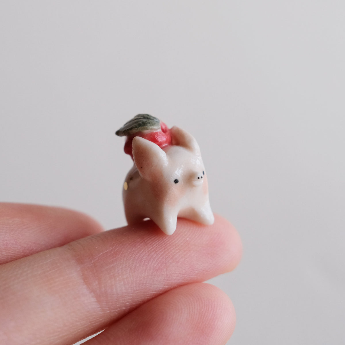 Apple Pig Guardian – Lithops Studio