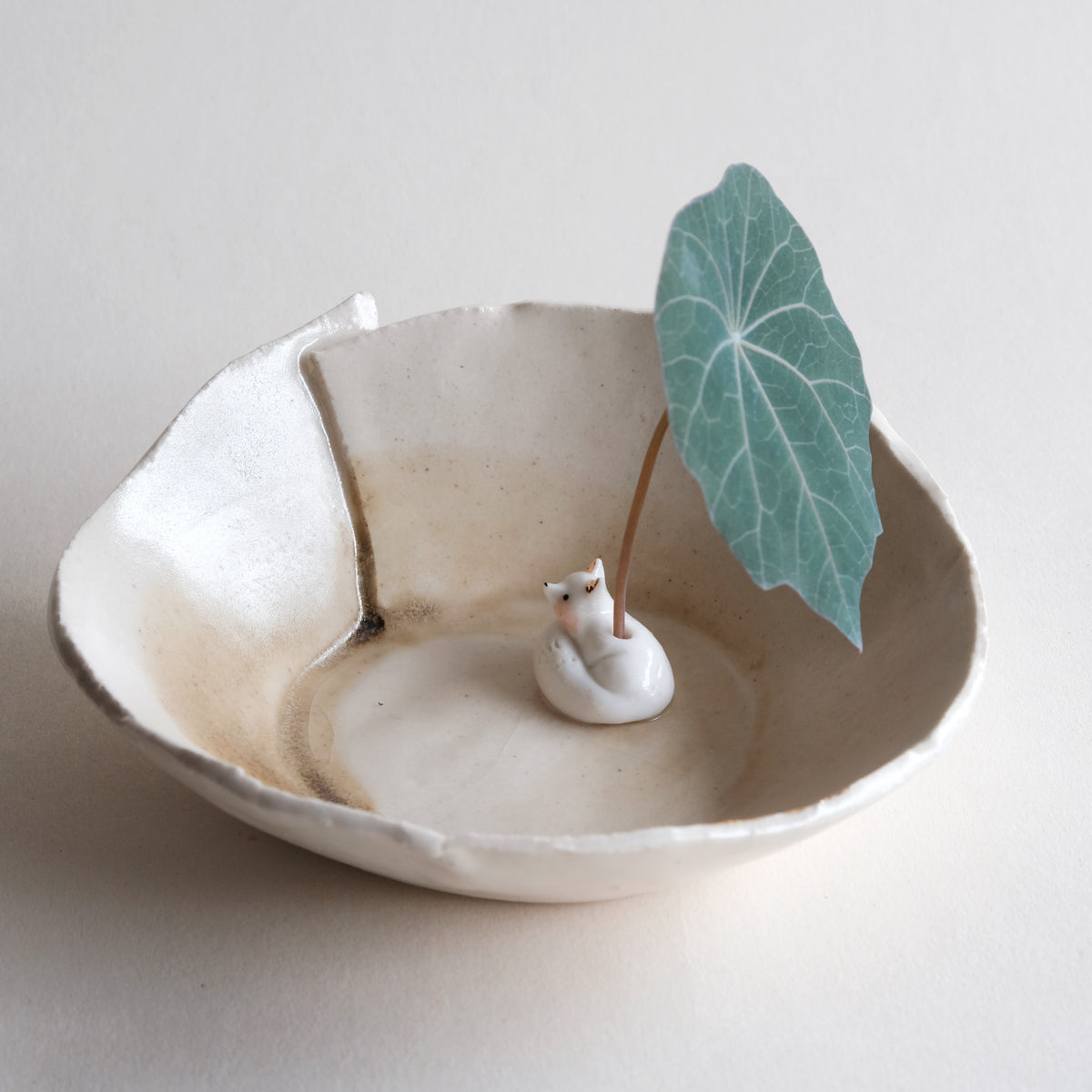 Enso Fox Folds Bowl – Lithops Studio