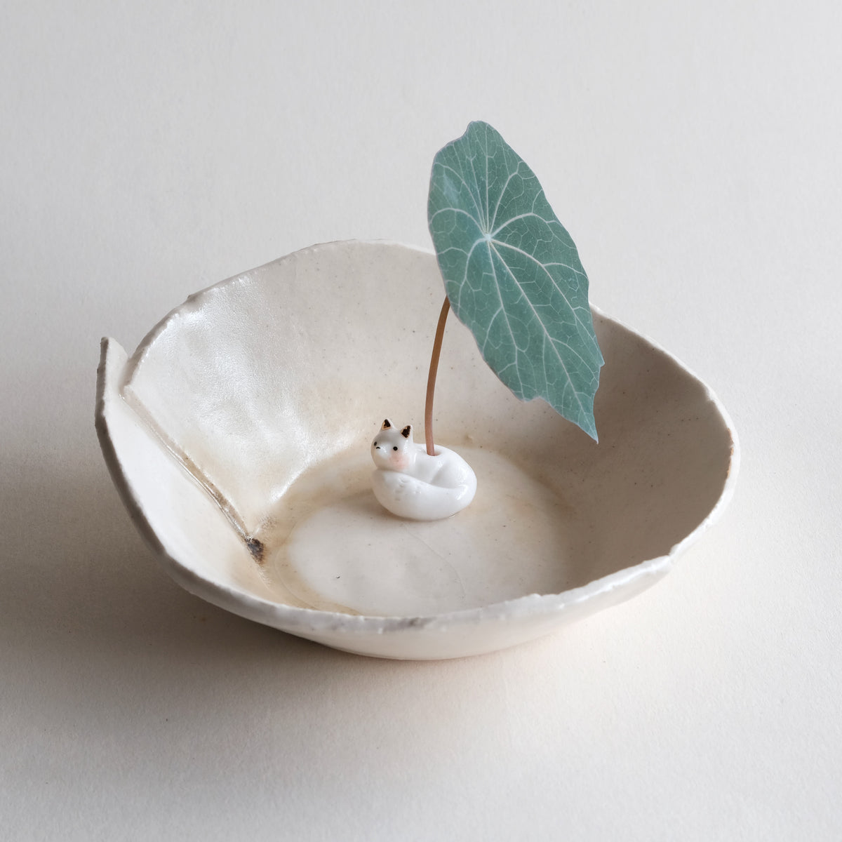 Enso Fox Folds Bowl – Lithops Studio