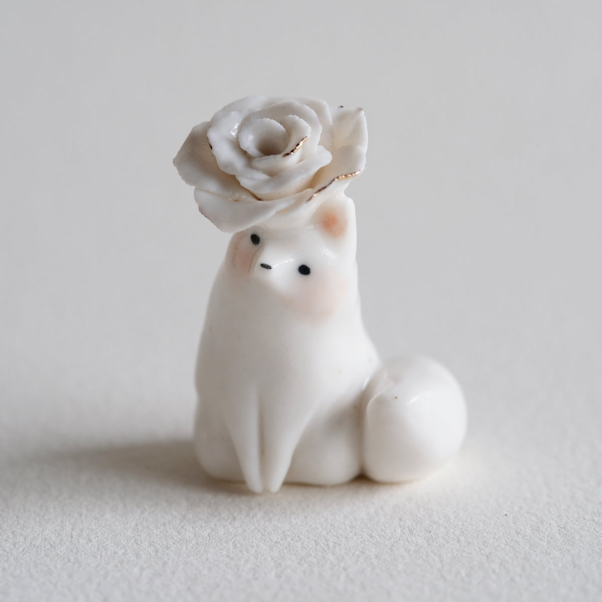 Rose Fox – Lithops Studio